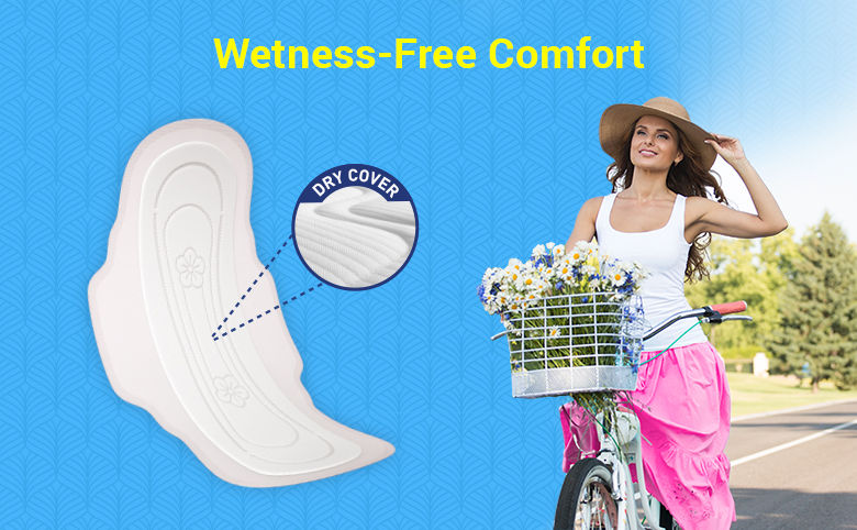 Paree Dry Feel Regular Sanitary Pads For Women | 40 Pads|Heavy Flow ...
