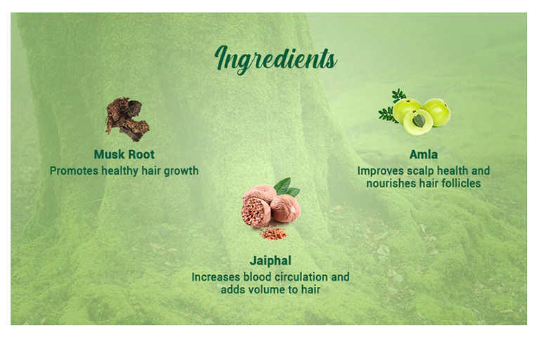 Buy Biotique Musk Root Fresh Growth Nourishing Treatment Pack(900 g ...