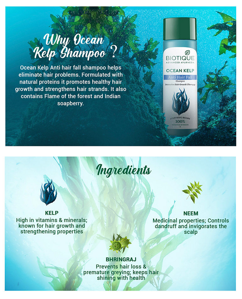 Buy Biotique Bio Kelp Protein Shampoo For Falling Hair (190 ml) Online ...