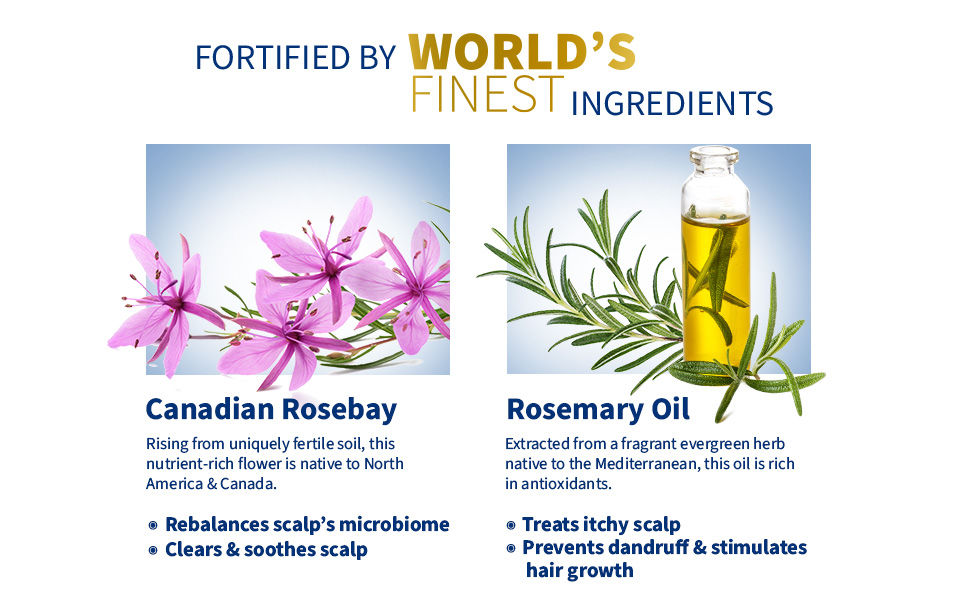 St.Botanica Anti-dandruff Pre-biotic Shampoo 300ml | Reduces Flakes, Soothes Itchy Scalp