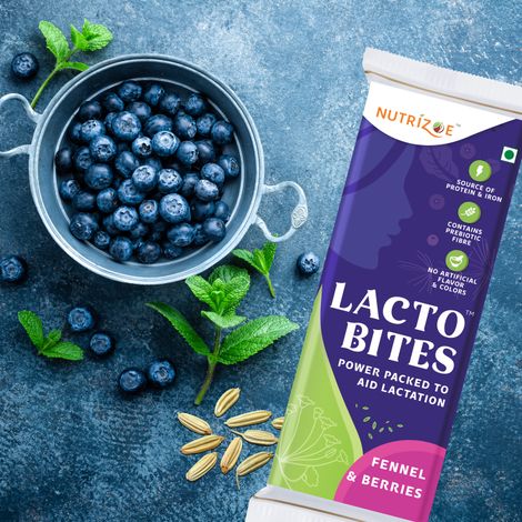 Nutrizoe Lactobites Fennel and Berries Bars for Increased Milk supply ...