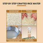 Alps Goodness Fermented Rice Water (100ml) |Rice Water for hair and ...