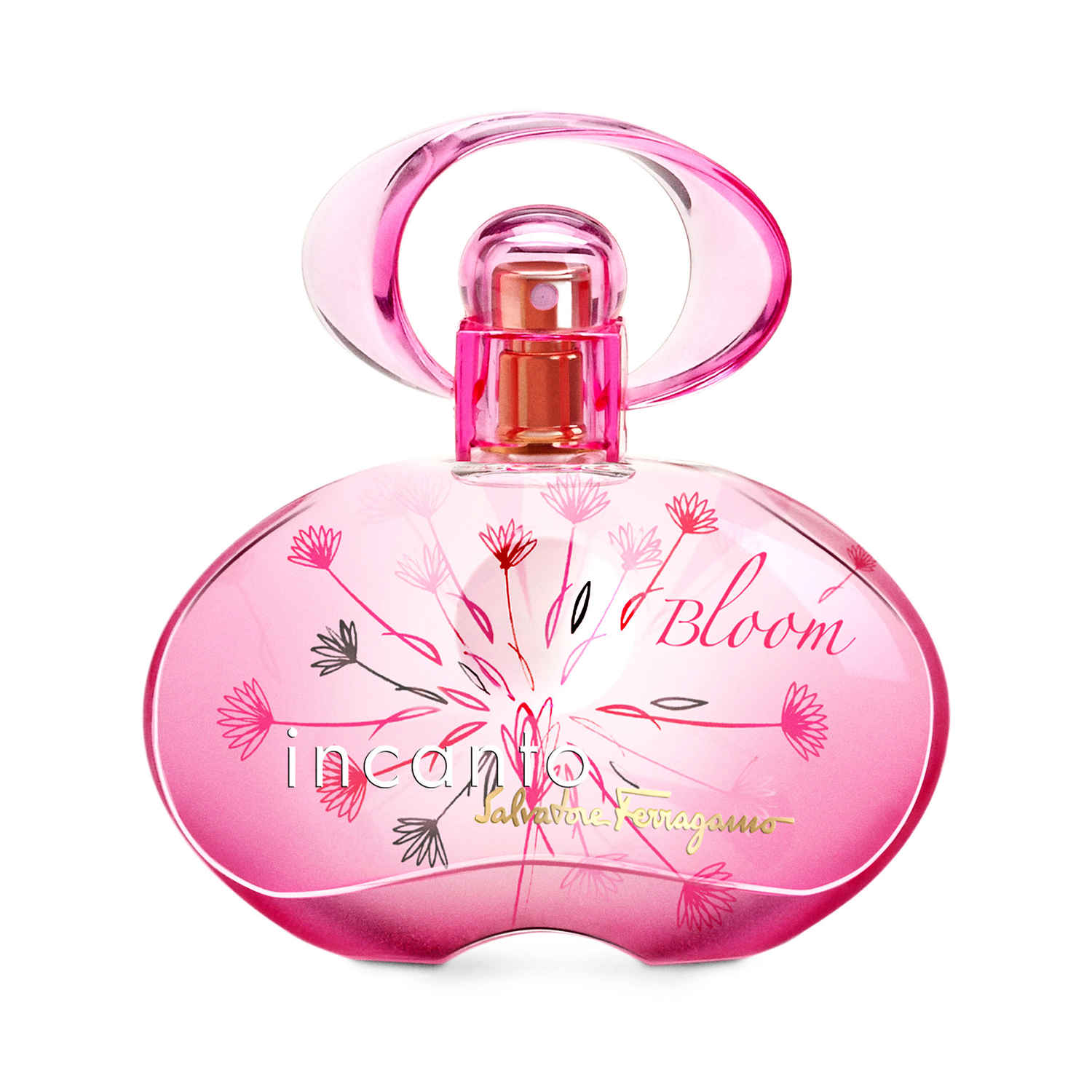 Buy Salvatore Ferragamo Incanto Bloom Ib Eau de Toilette 100ml Online ...