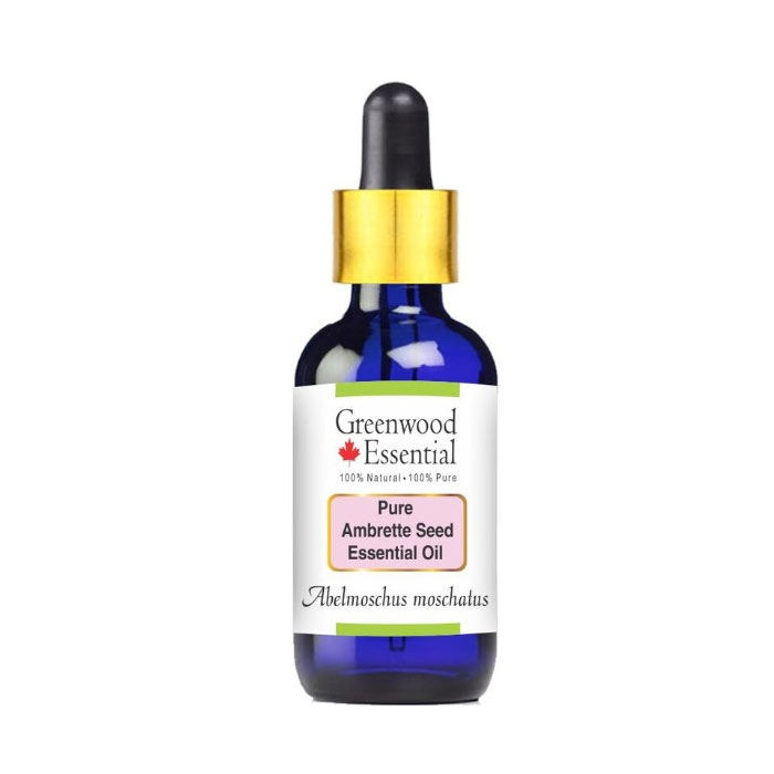 Buy Greenwood Essential Pure Ambrette Seed Essential Oil (Abelmoschus ...