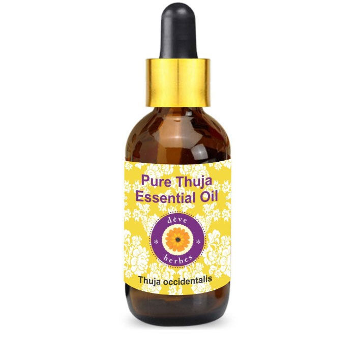 Buy Deve Herbes Pure Thuja Essential Oil (Thuja occidentalis) with ...