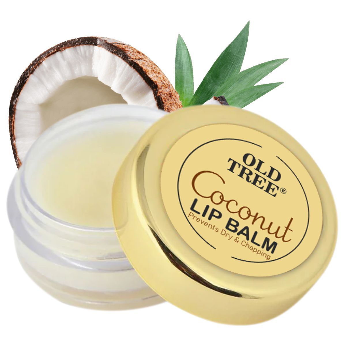 Old Tree Coconut Lip Balm for dry and chapped lips 8gm.