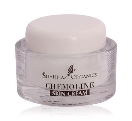 Buy Shahnaz Husain Chemoline Skin Cream (40 g) (Pack of 2) - Find ...