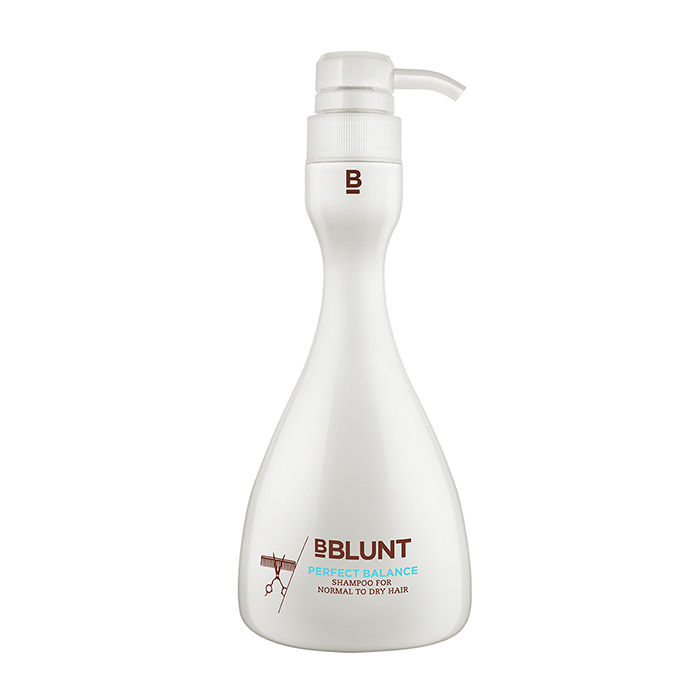 Buy BBLUNT Perfect Balance Shampoo - For Normal to Dry Hair (400 ml ...
